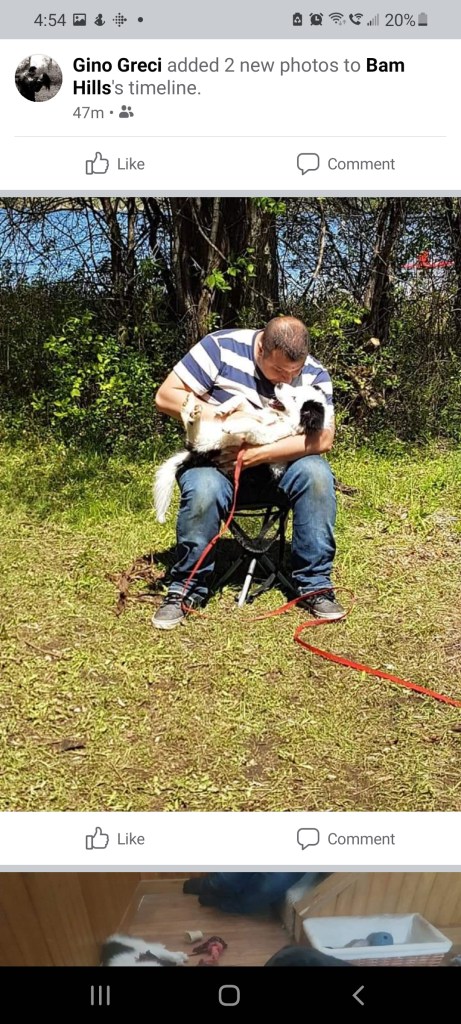 This is Sam – For the Love of Sam