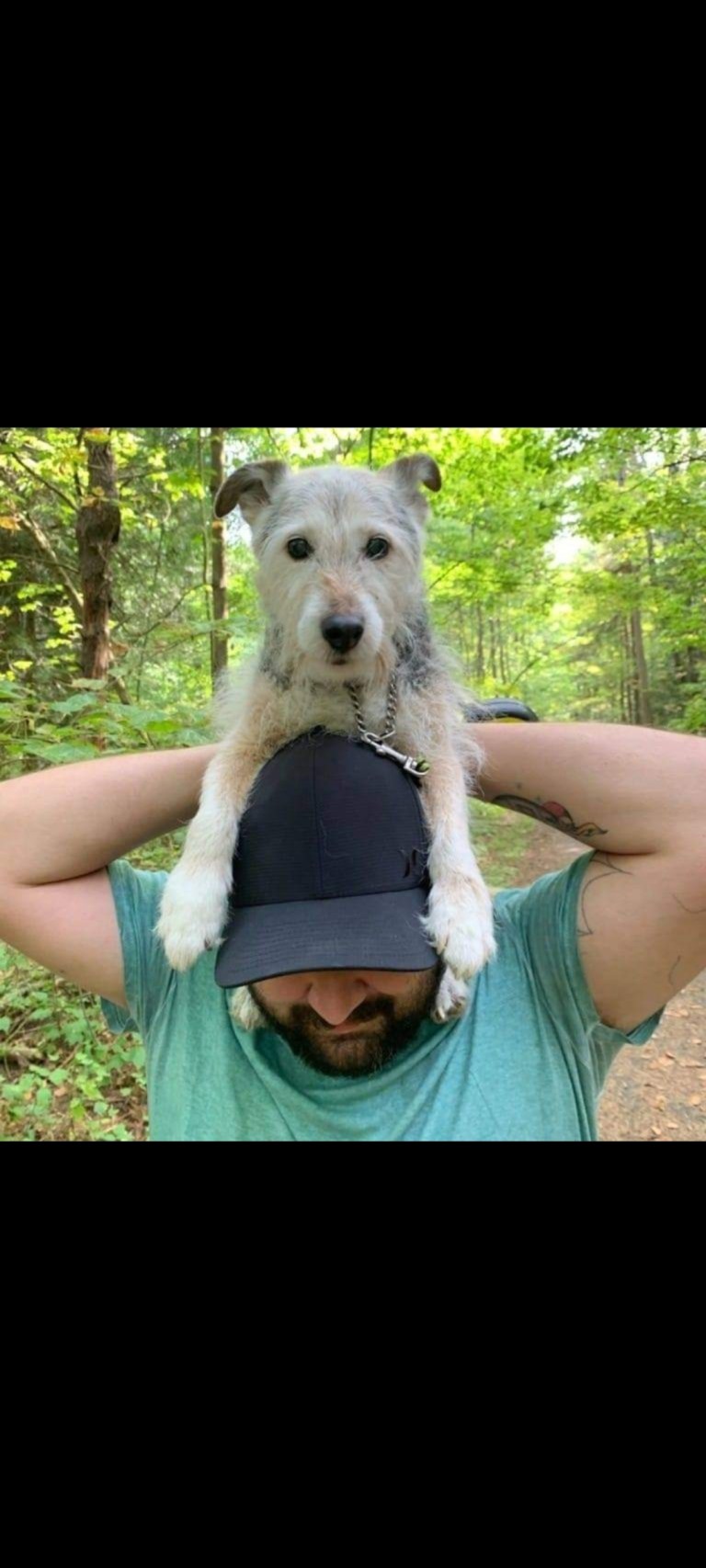 This is Sam – For the Love of Sam